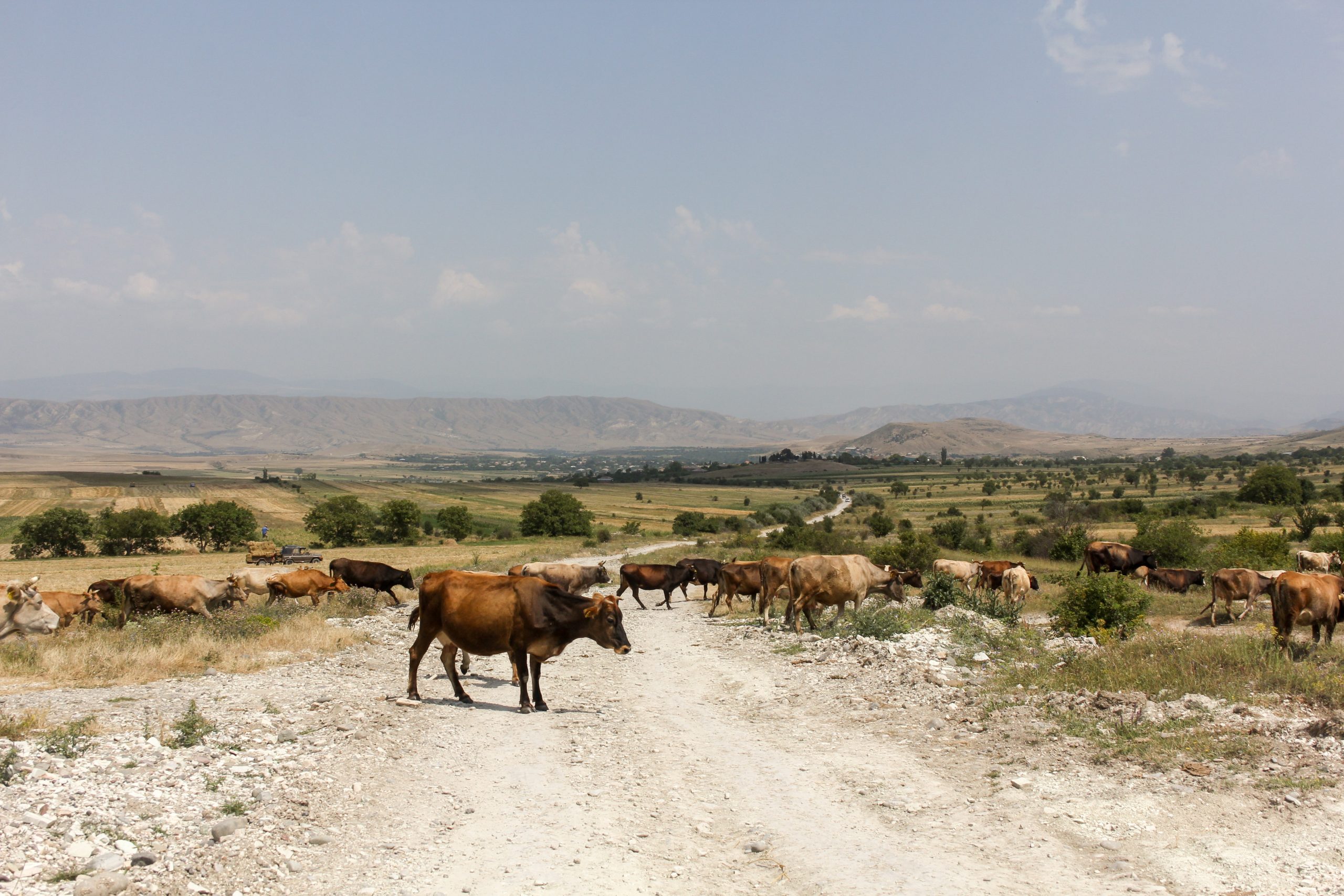 Tbilisi to Azerbaijan. The land of the Lada - A Fish Out of Water